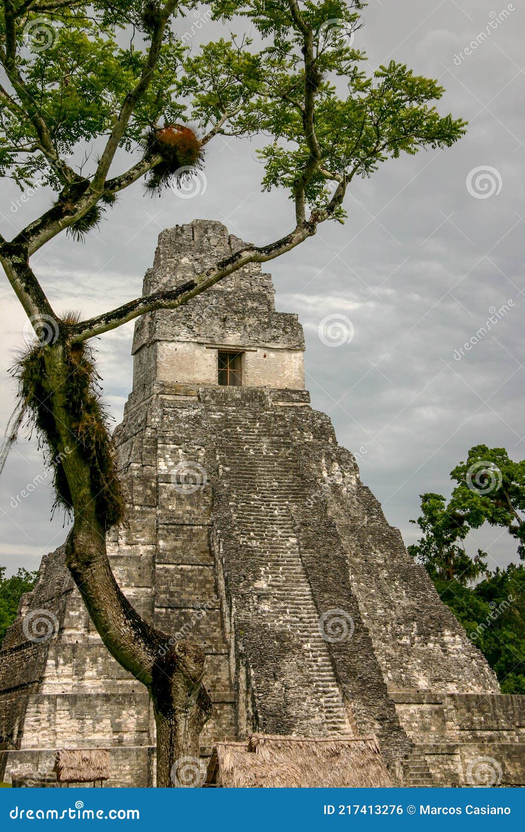 Pyramids Tikal Guatemala stock photo. Image of natural - 217413276