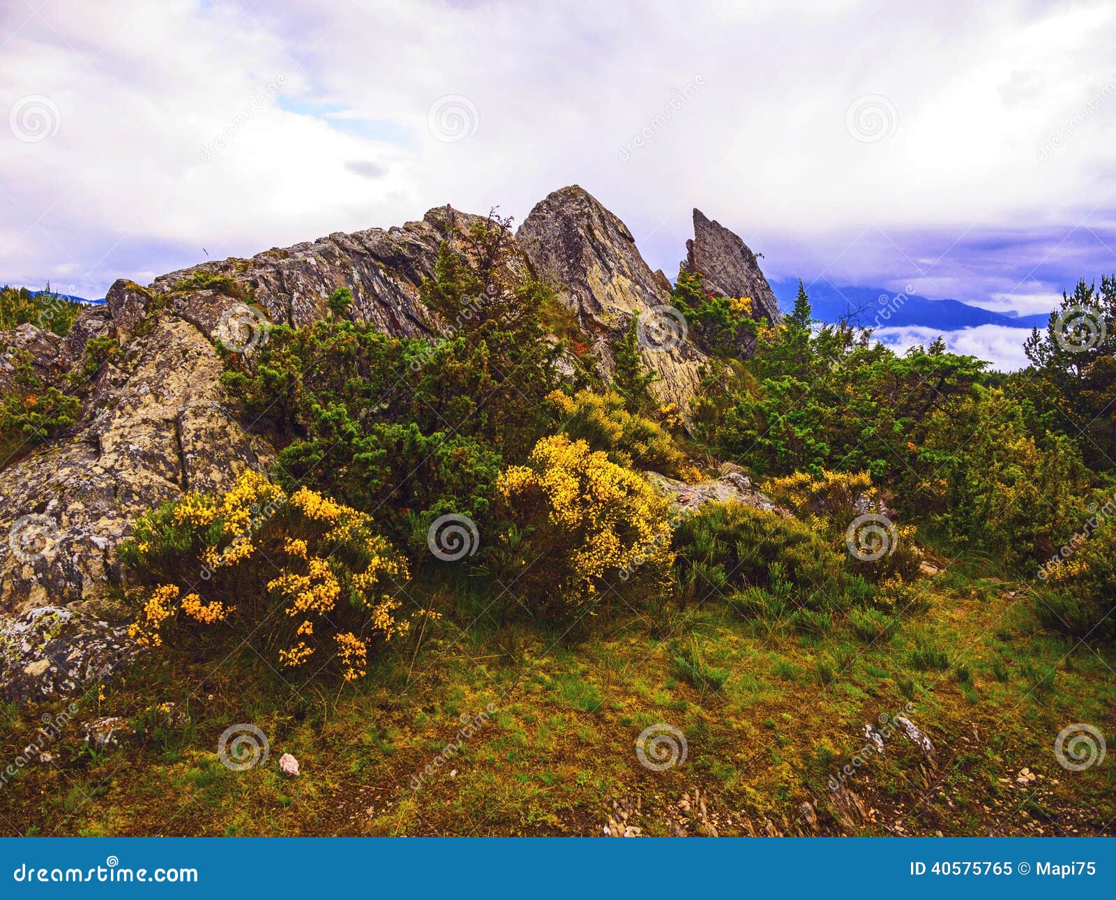 Pyrenean Rock with Broom Under Clouds Stock Image - Image of ...
