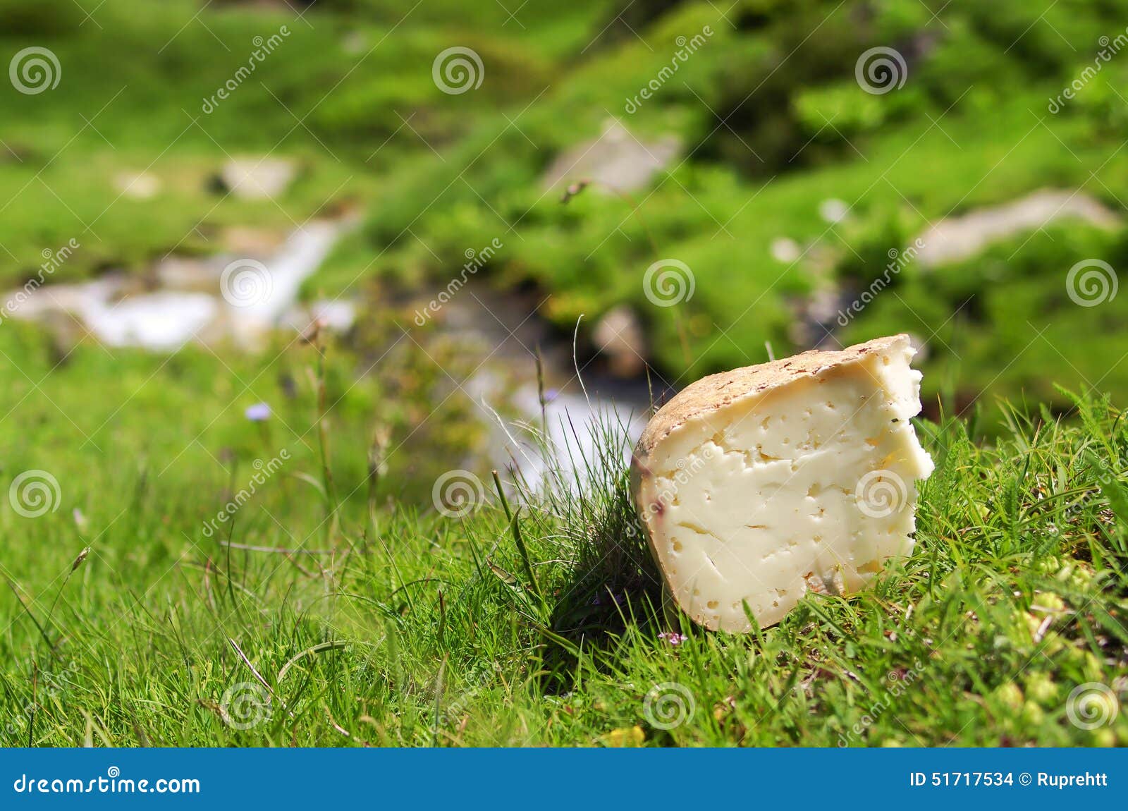 Pyrenees cheese stock photo. Image of delicious, mountains - 51717534