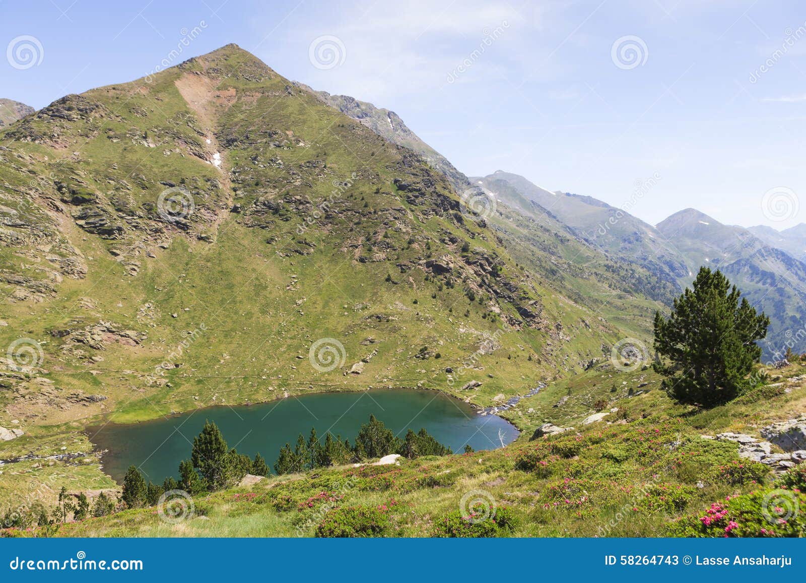 Pyrenees in July stock image. Image of summer, july, tristaina - 58264743
