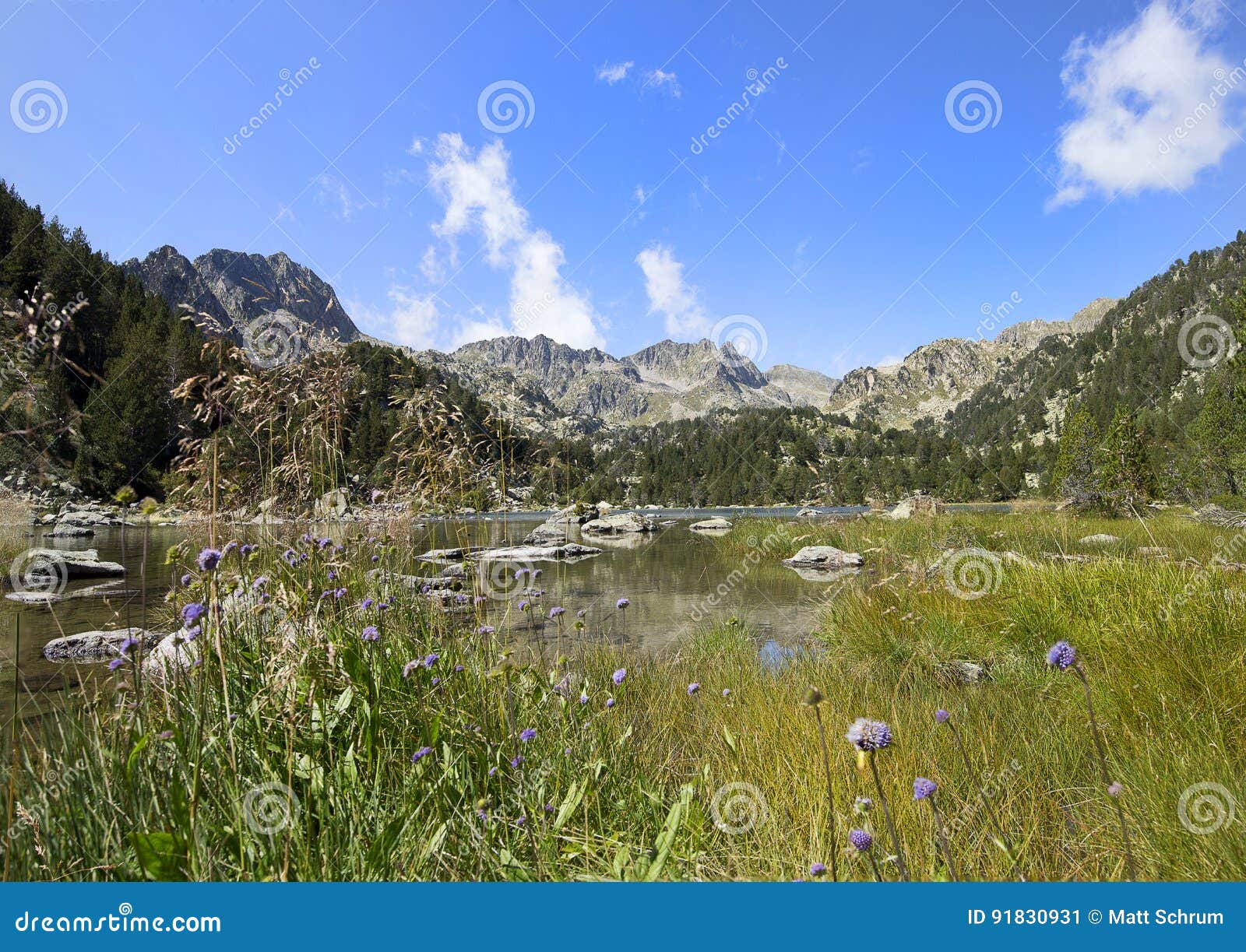 Pyrenees Mountains stock image. Image of flowers, blue - 91830931