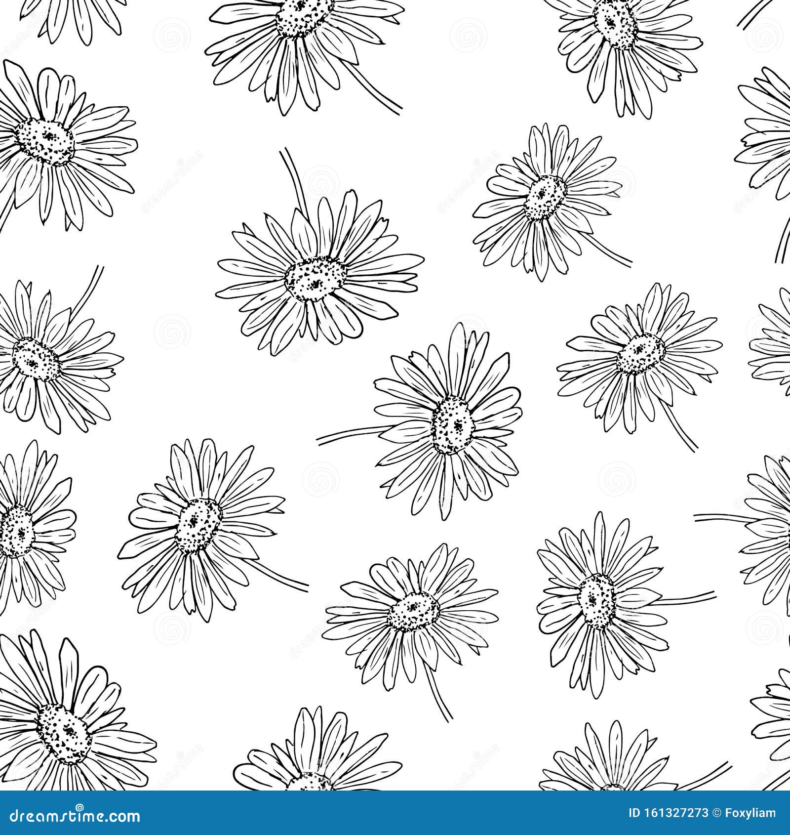 Pyrethrum Daisy Seamless Pattern On Blue Background Vector Illustration ...