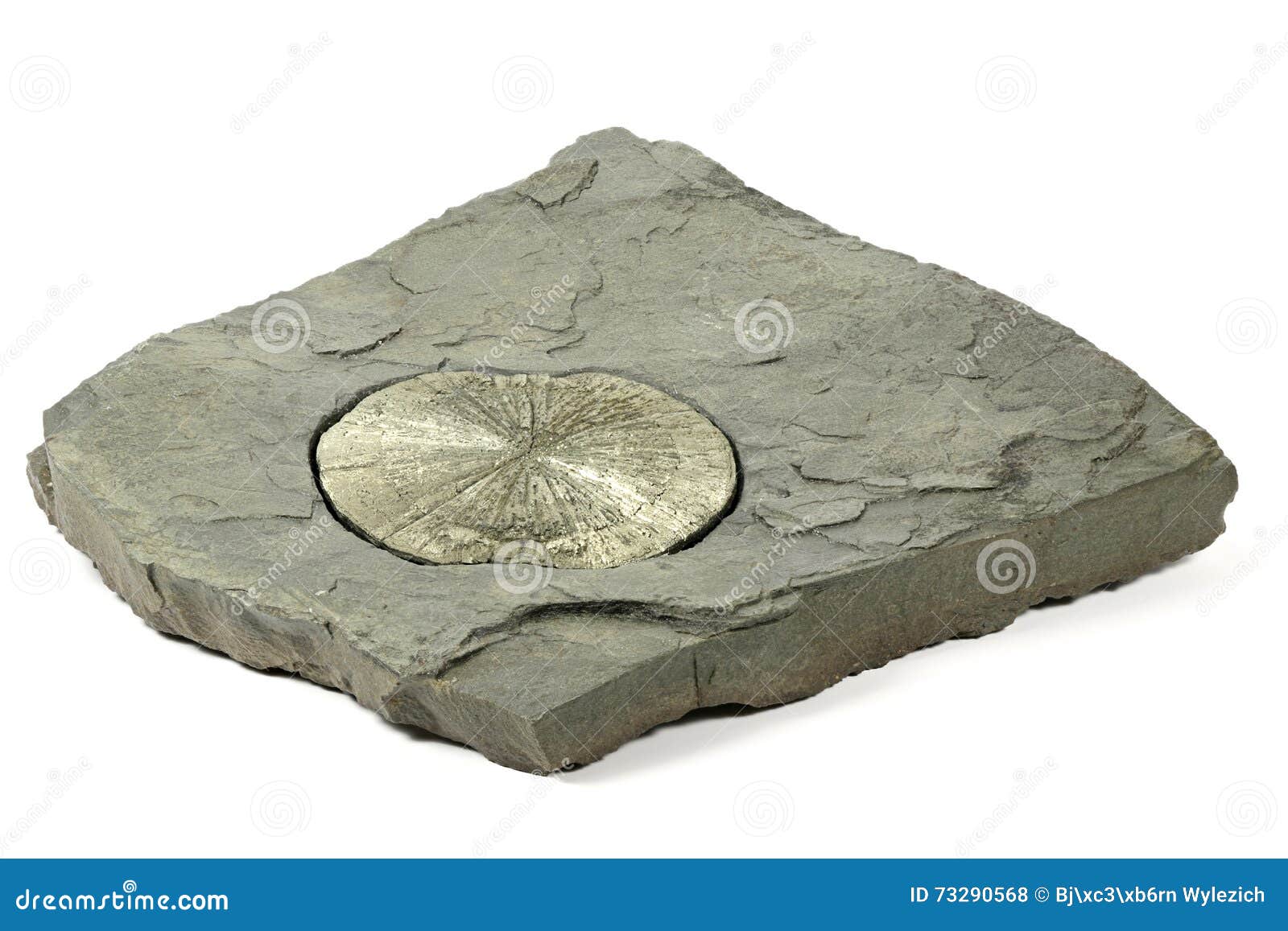 Pyrite sun stock photo. Image of dollar, stone, isolated - 73290568