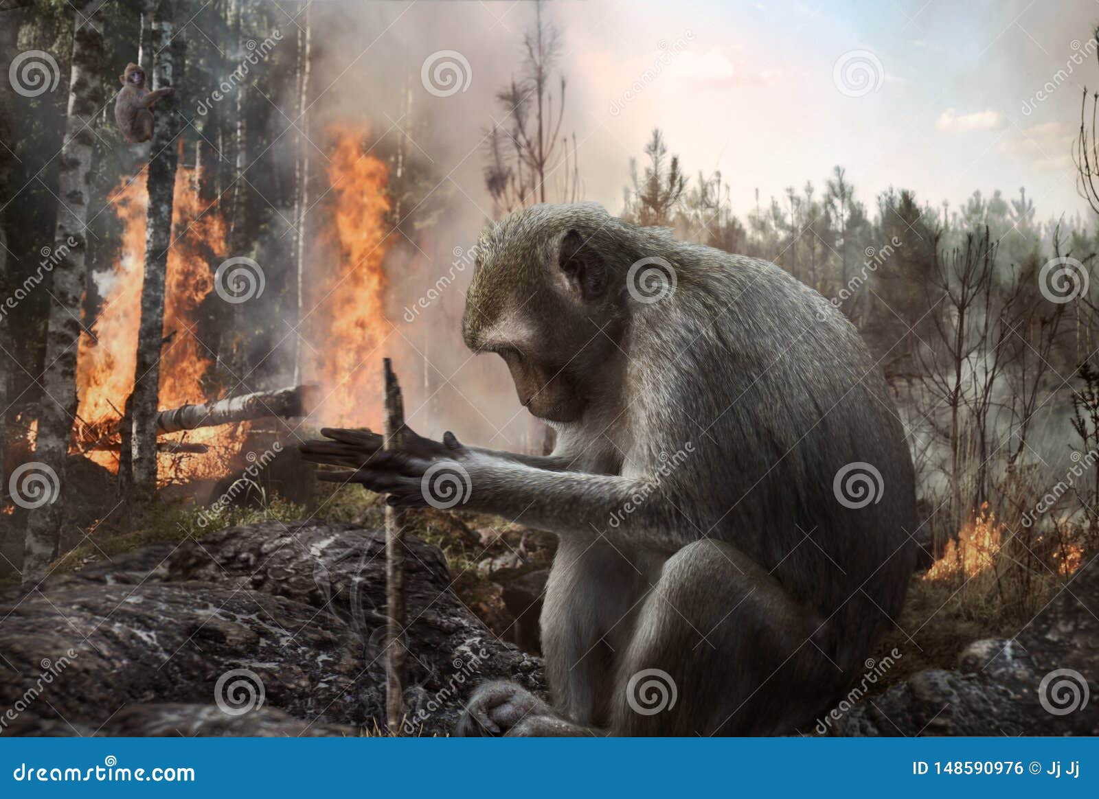 Pyromaniac Mokey Setting Fire in the Forest Stock Photo - Image of ...