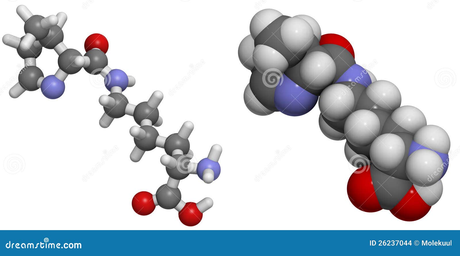 Pyrrolysine (Pyl, O) Molecule. Royalty-Free Stock Image | CartoonDealer ...