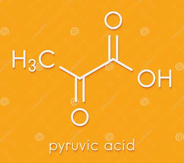 Pyruvic Acid Pyruvate Molecule. Important Intermediate in a Number of ...