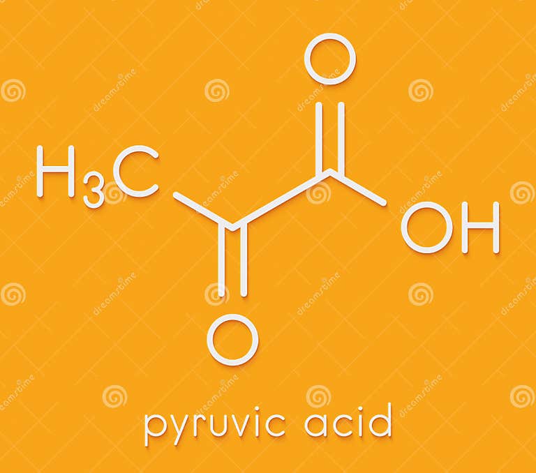 Pyruvic Acid Pyruvate Molecule. Important Intermediate in a Number of ...