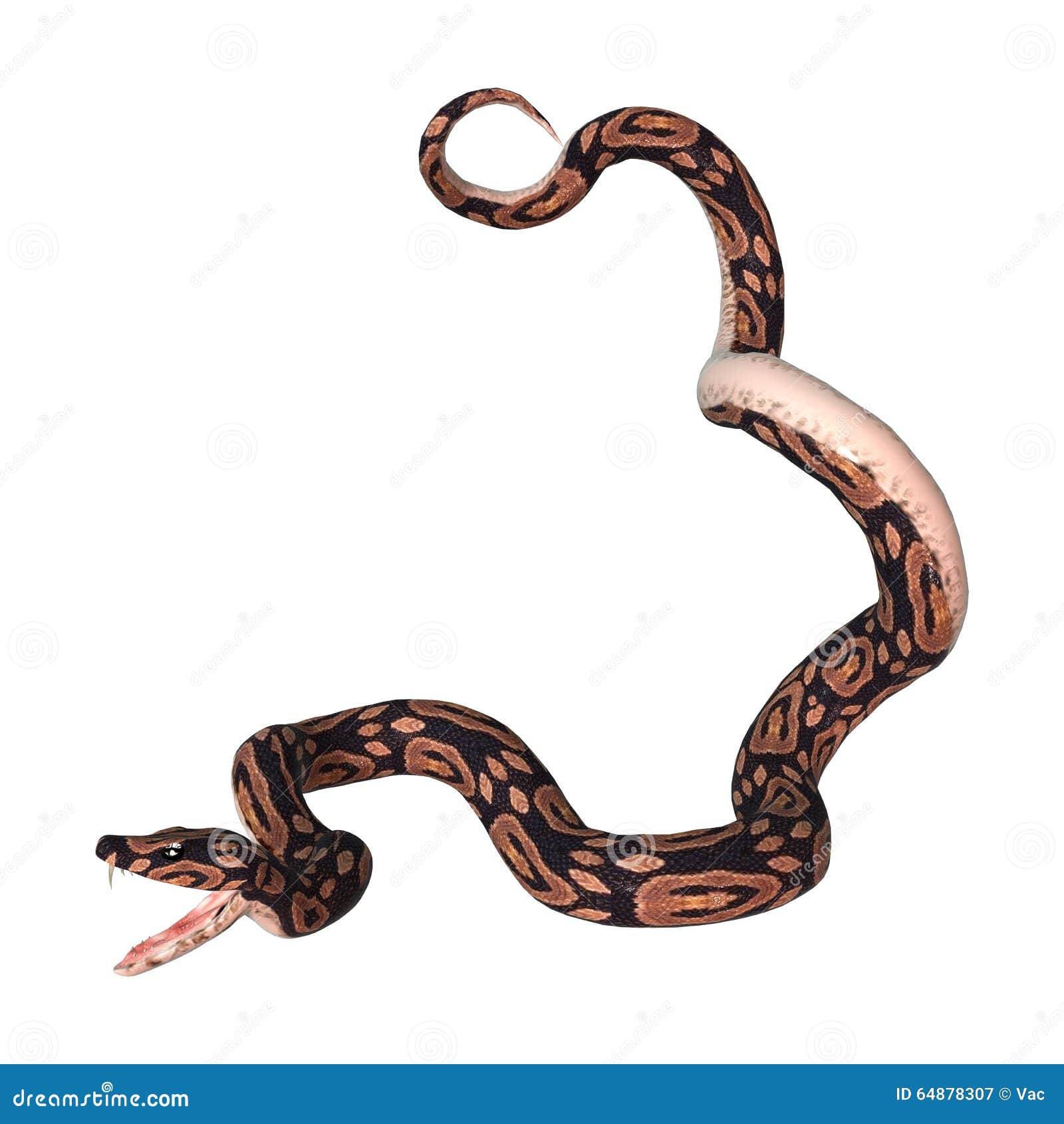 Python De Boule Sur Le Blanc Illustration Stock - Illustration du royal ...
