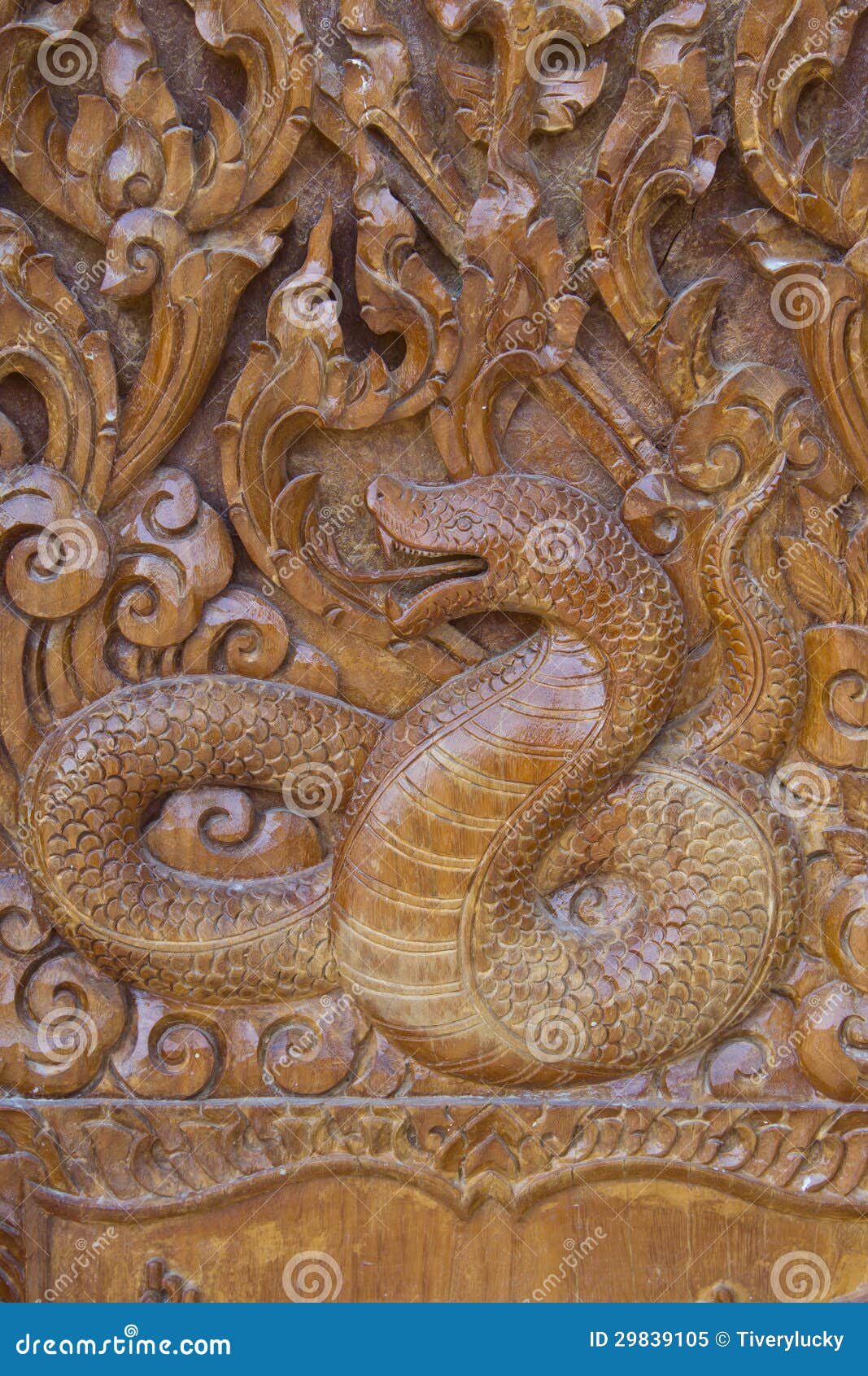 Snake on wood stock image. Image of architecture, famous - 29839105