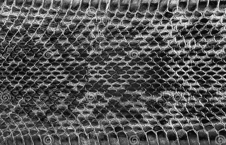 Python Leather, Skin Texture for Background. Stock Photo - Image of ...