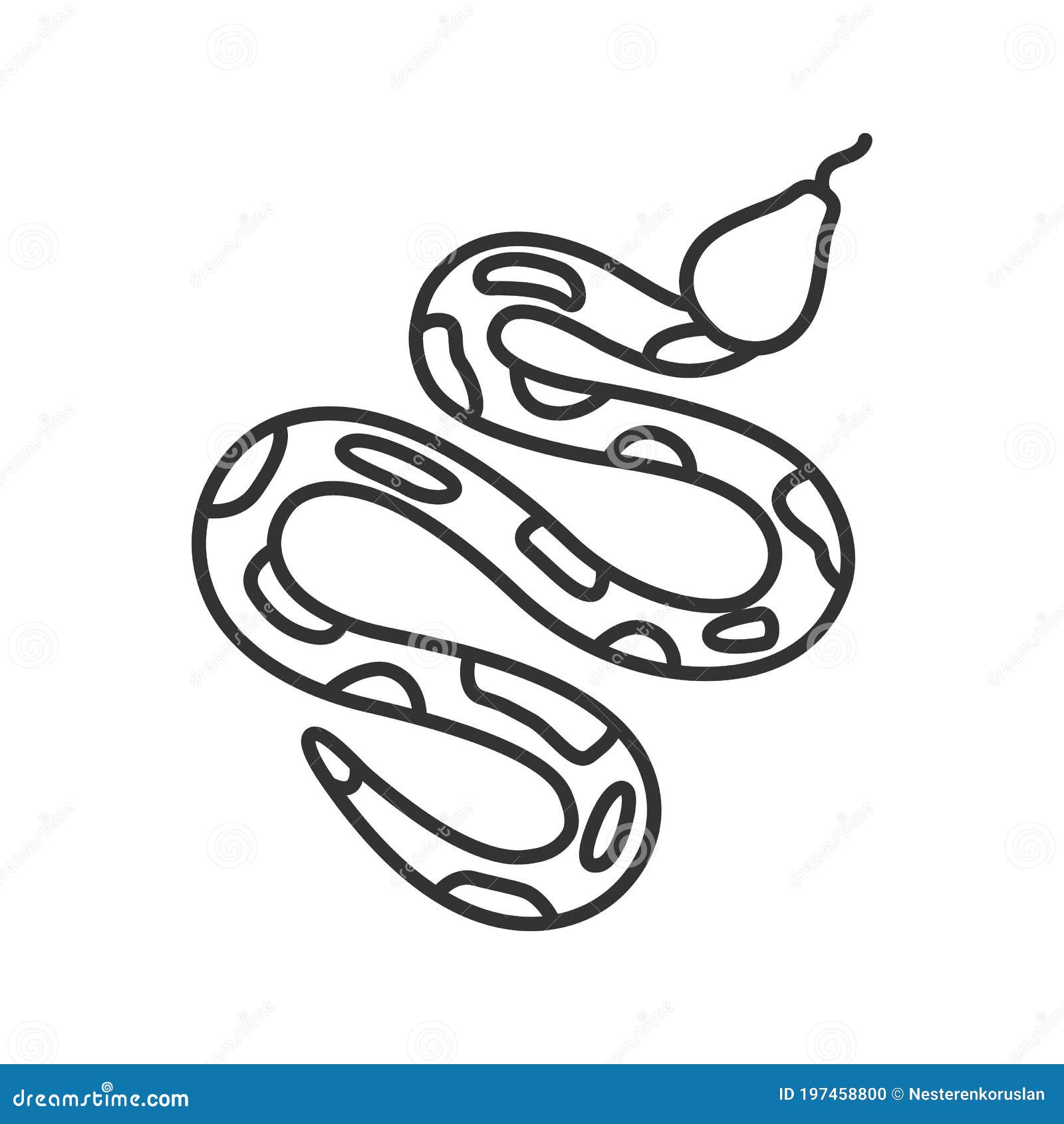 Python Linear Icon Stock Vector Illustration Of Specie 197458800