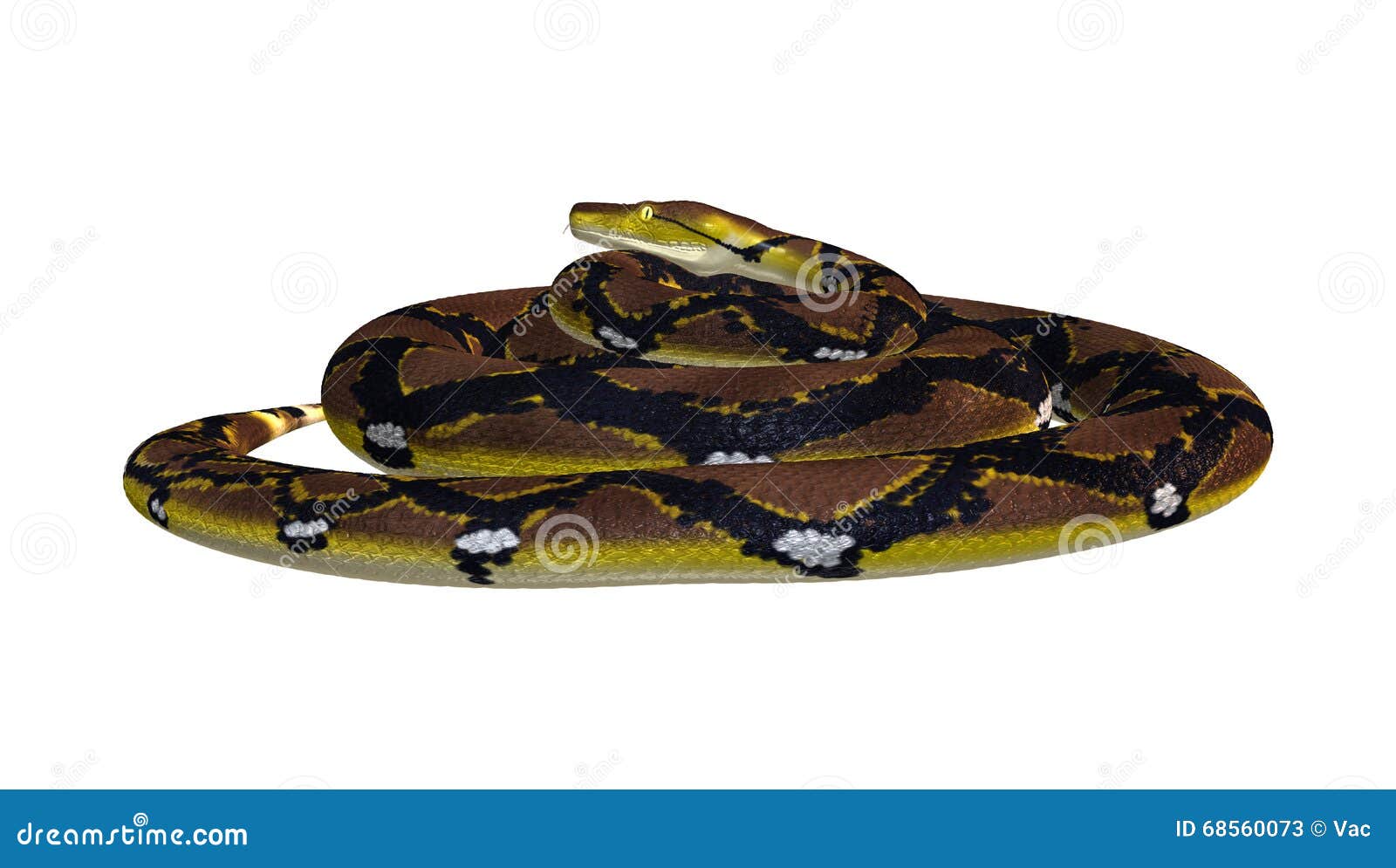 Python Reticulado En Blanco Imagen de archivo - Imagen de aislado ...