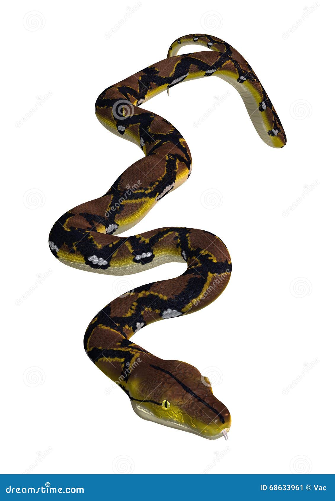 Python Reticulado En Blanco Imagen de archivo - Imagen de peligroso ...