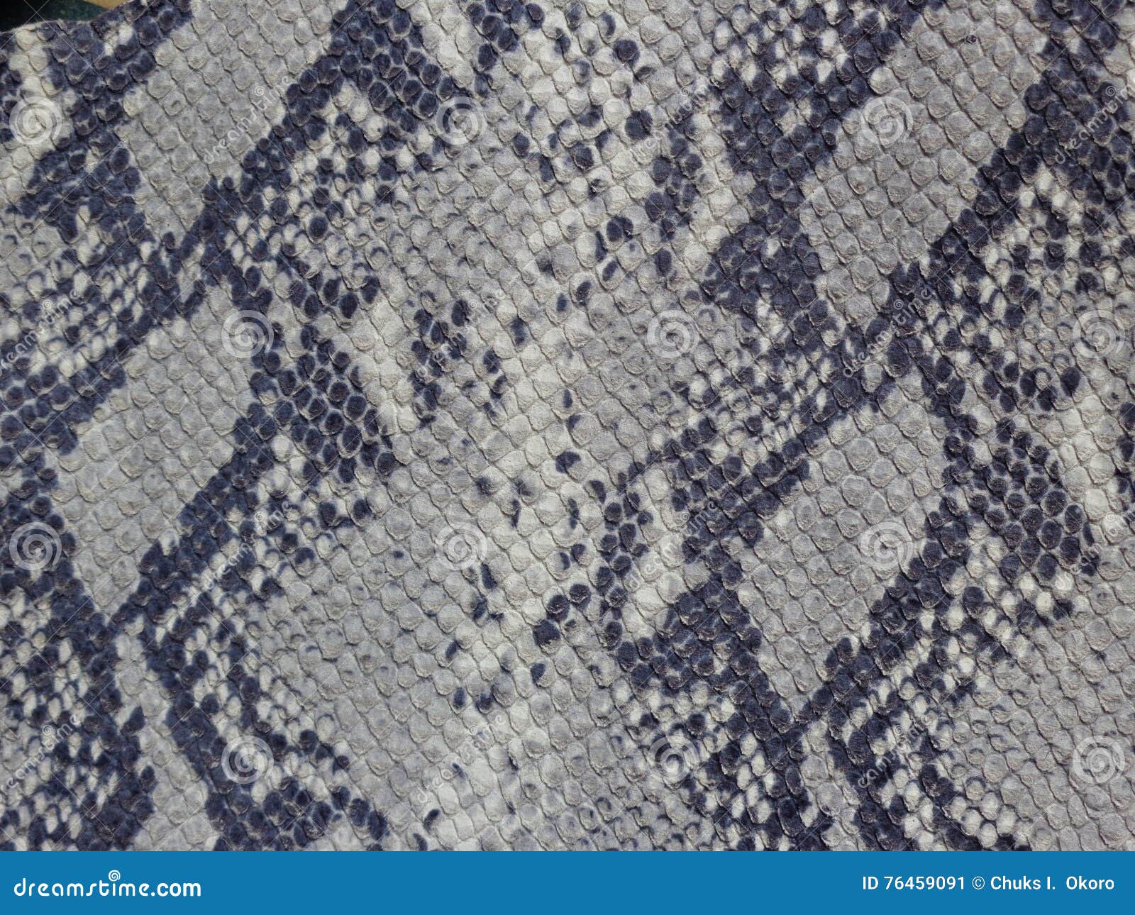 Python skin patch stock image. Image of python, skin - 76459091