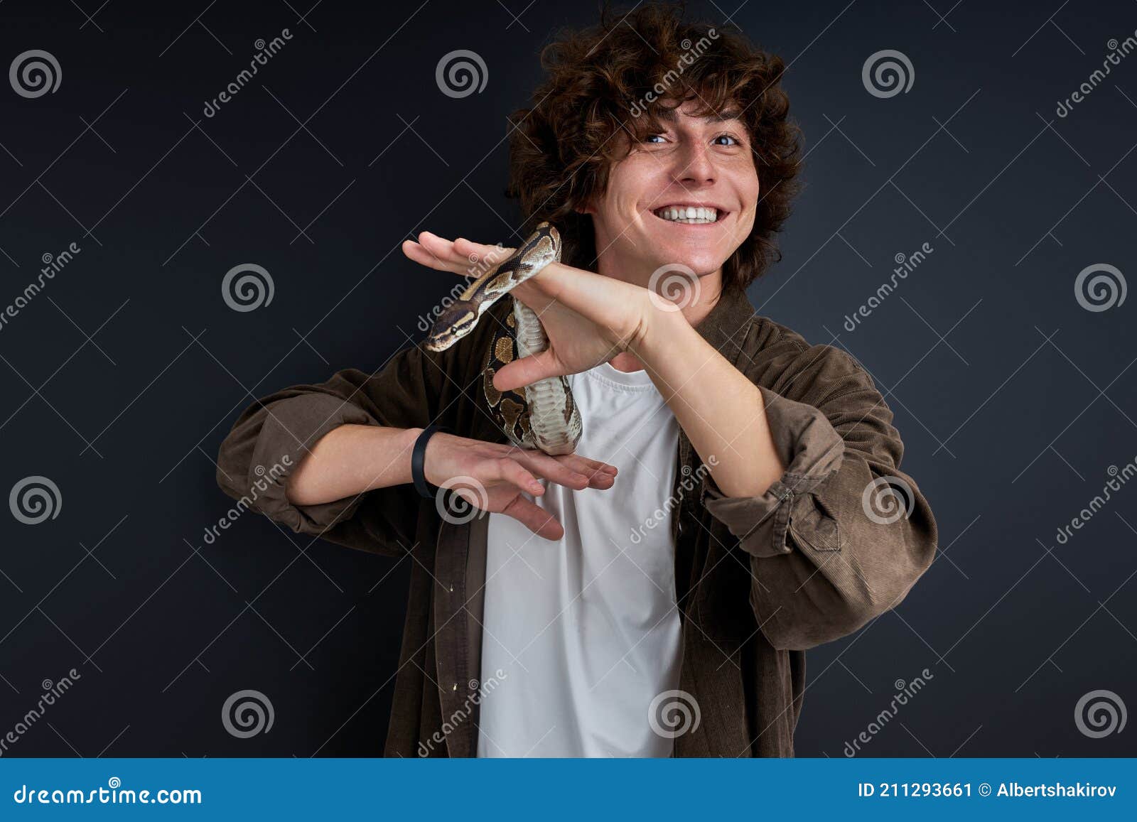 Python Snake Coiling Around Mans Hand Stock Image - Image of young ...