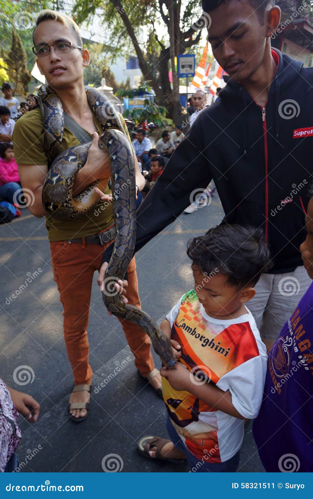 Python editorial photo. Image of introduced, central - 58321511