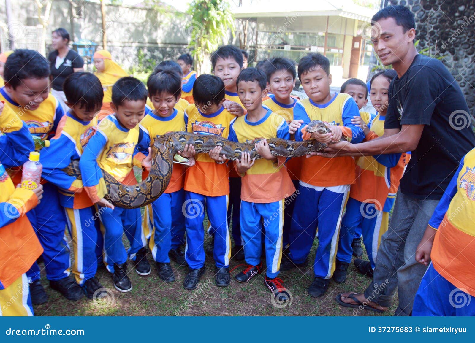 Python editorial stock photo. Image of child, solo, park - 37275683