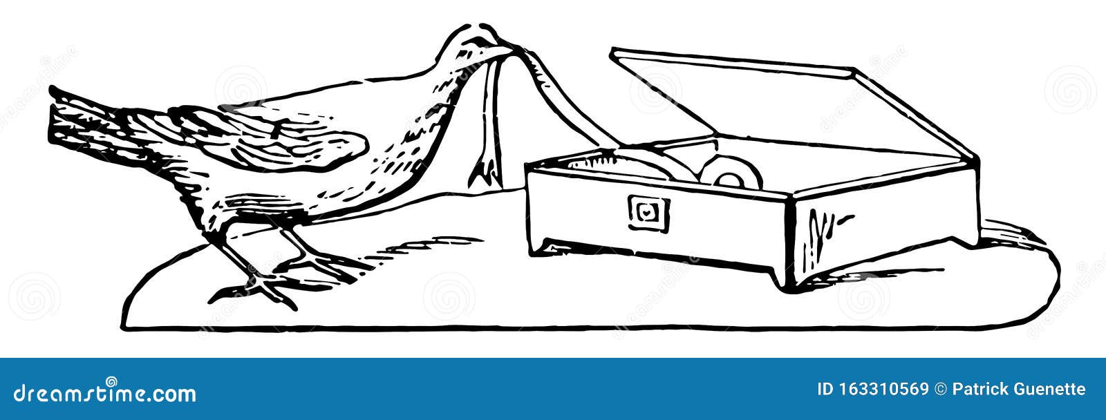 Pyxis, Vintage Illustration Cartoon Vector | CartoonDealer.com #163346105