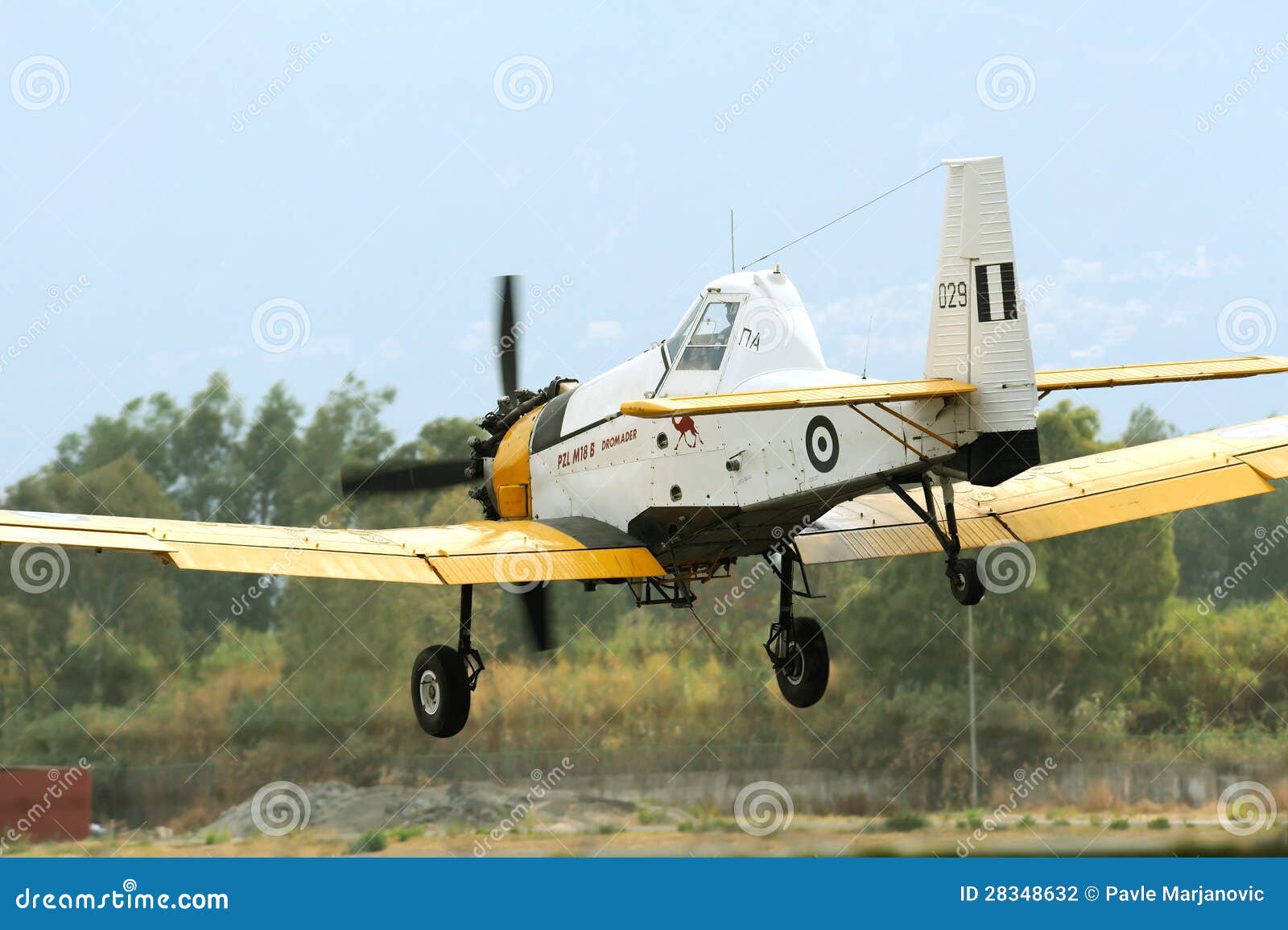 PZL M18 B Dromader Airplane in Low Terrain Flight Editorial Photography ...