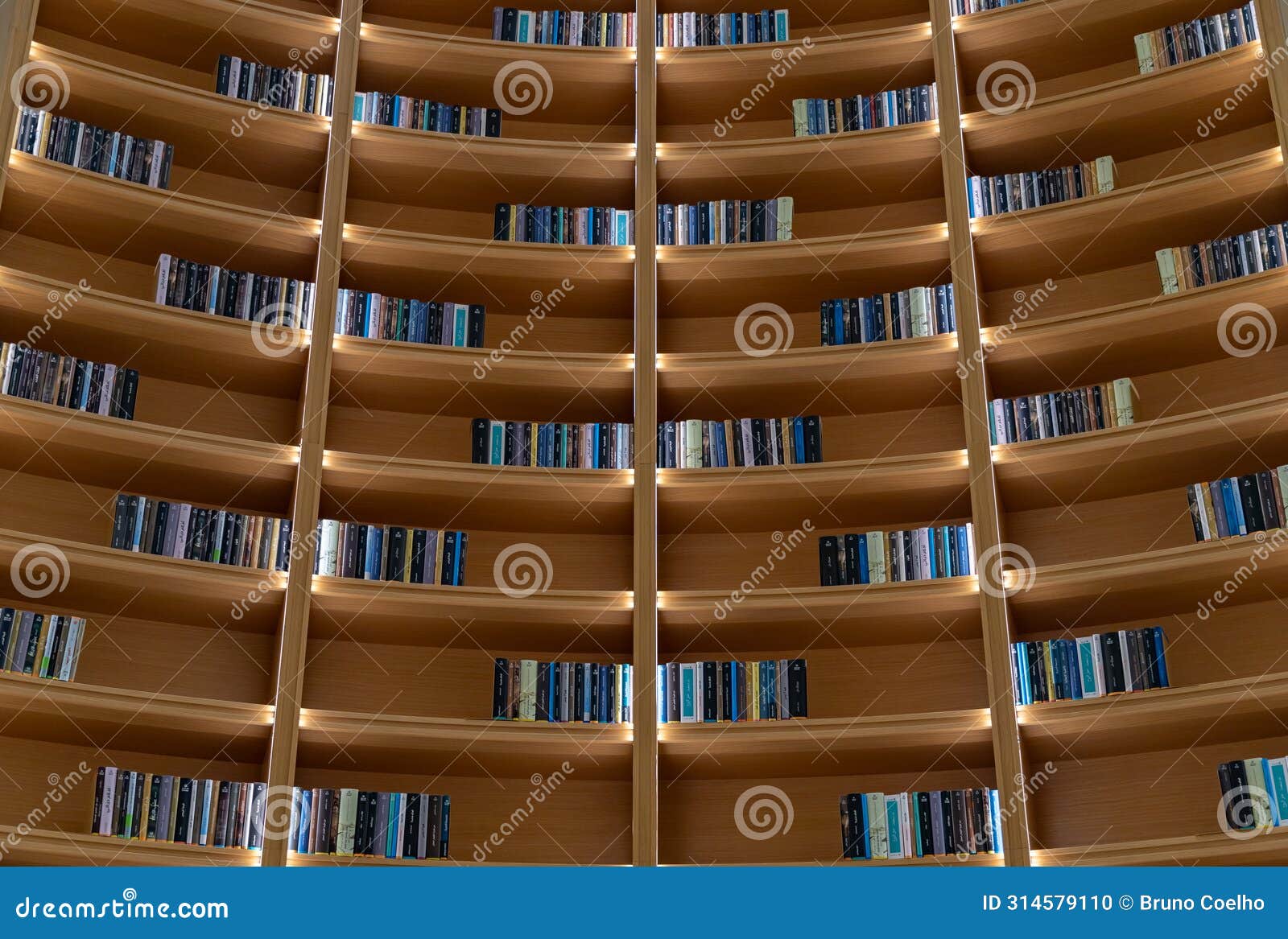 Qasr Al Watan - Library editorial image. Image of bookshelves - 314579110