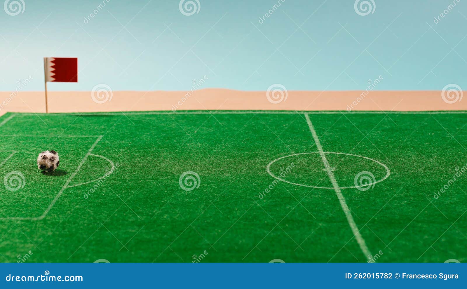 Qatar World Cup stock photo. Image of match, soccer - 262015782