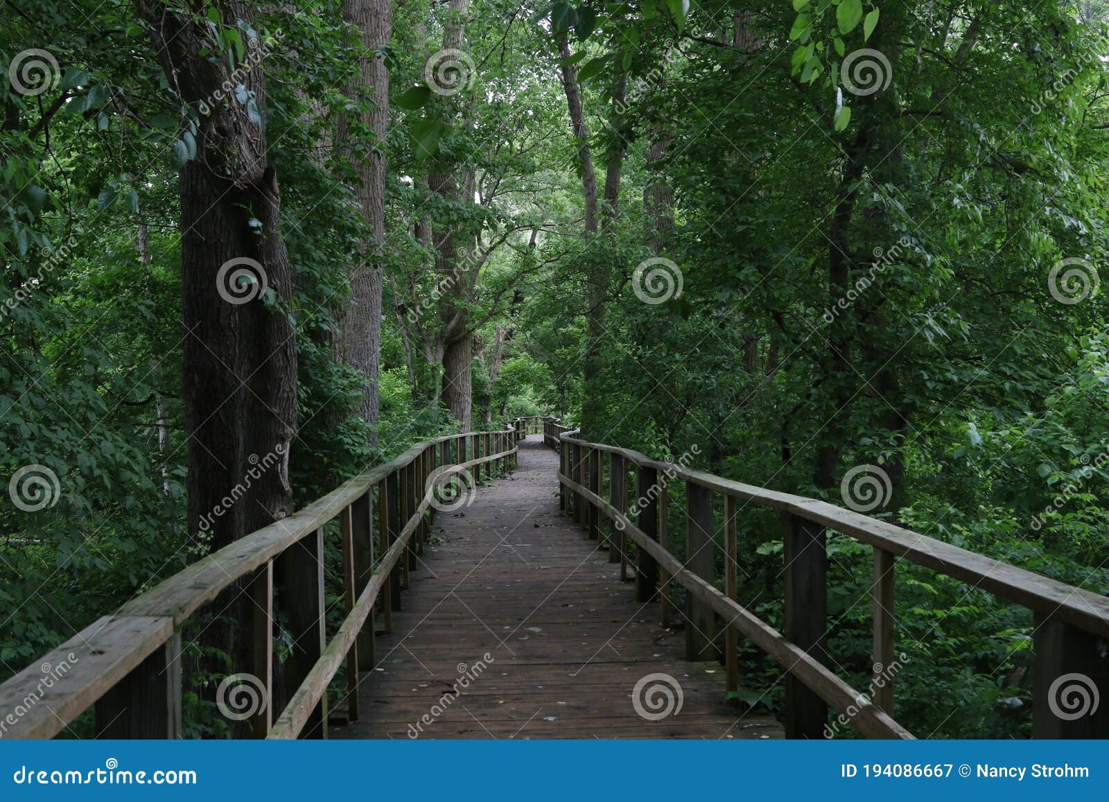 Magee Marsh Birding Trail, Curtice, Ohio Stock Image - Image of wooden ...