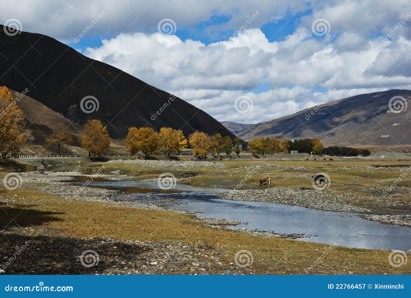 On the Qinghai-tibet Plateau Scenery Stock Image - Image of sunlight ...