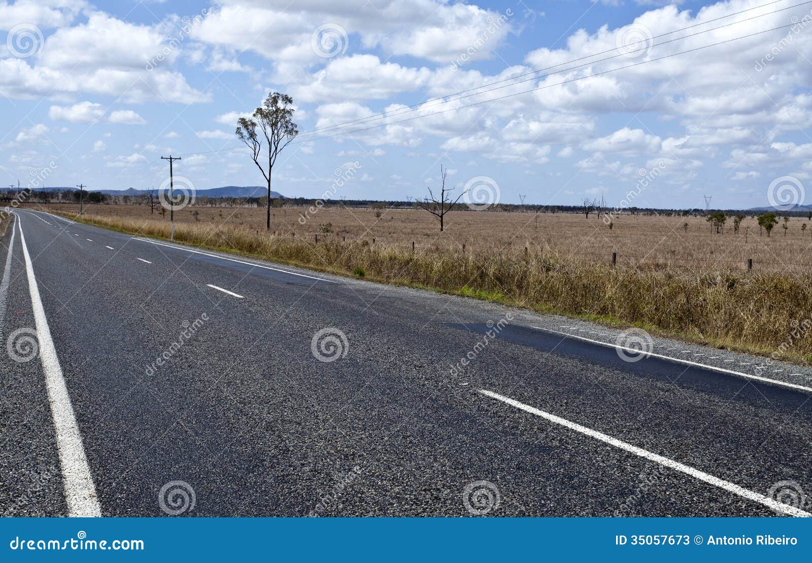 QLD Country Road stock image. Image of eucalyptus, forest - 35057673