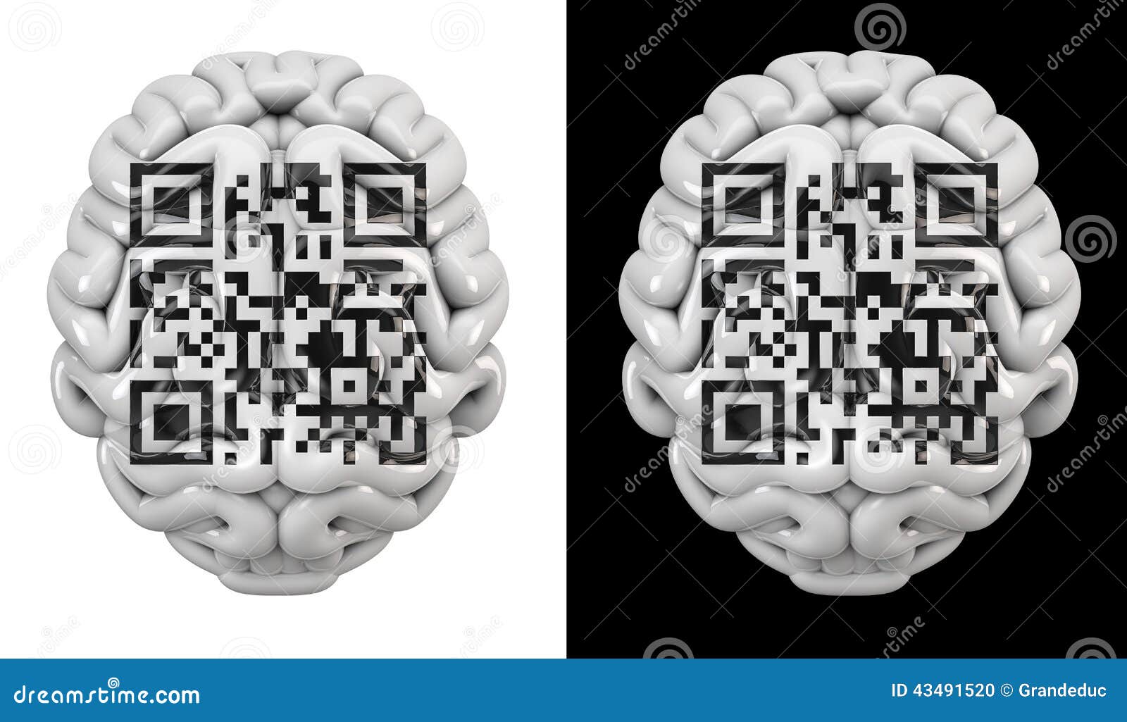 QR code brain stock illustration. Illustration of knowledge - 43491520
