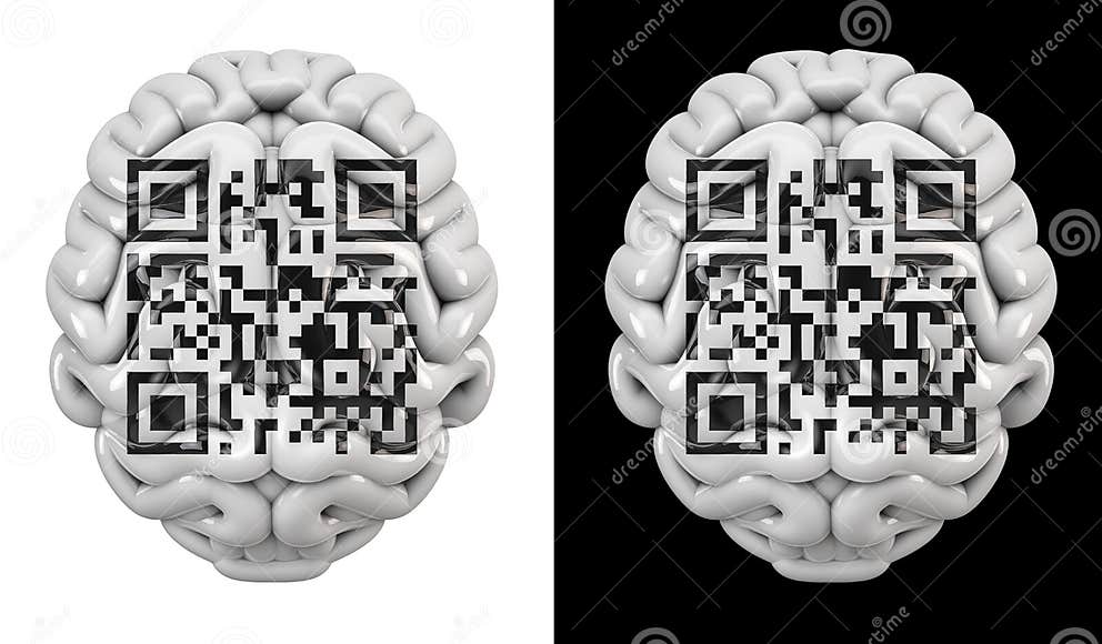 QR code brain stock illustration. Illustration of knowledge - 43491520