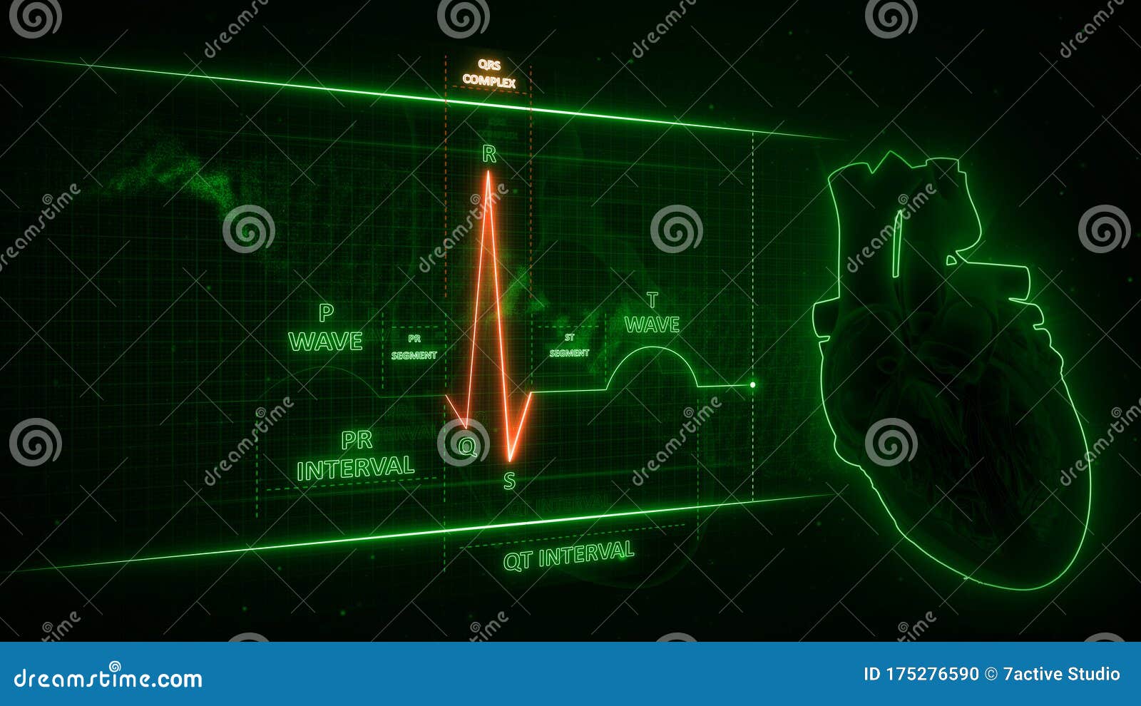 QRS Complex from Electrocardiogram Wave or ECG or EKG Stock ...