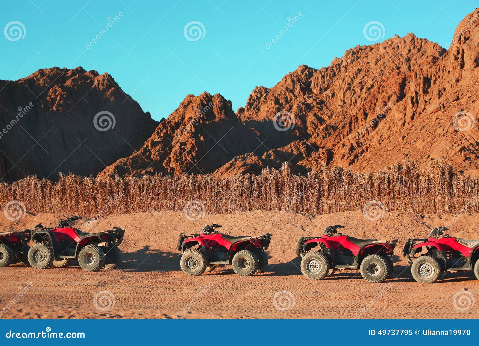 Quad Bike Safari Trip into Desert in Egypt Stock Image - Image of ride ...
