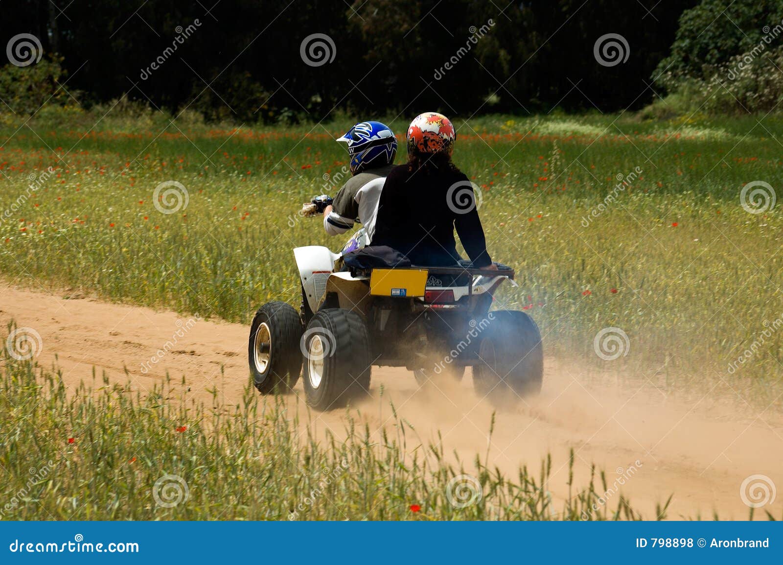 A quadbike ride in nature stock photo. Image of four, traction - 798898