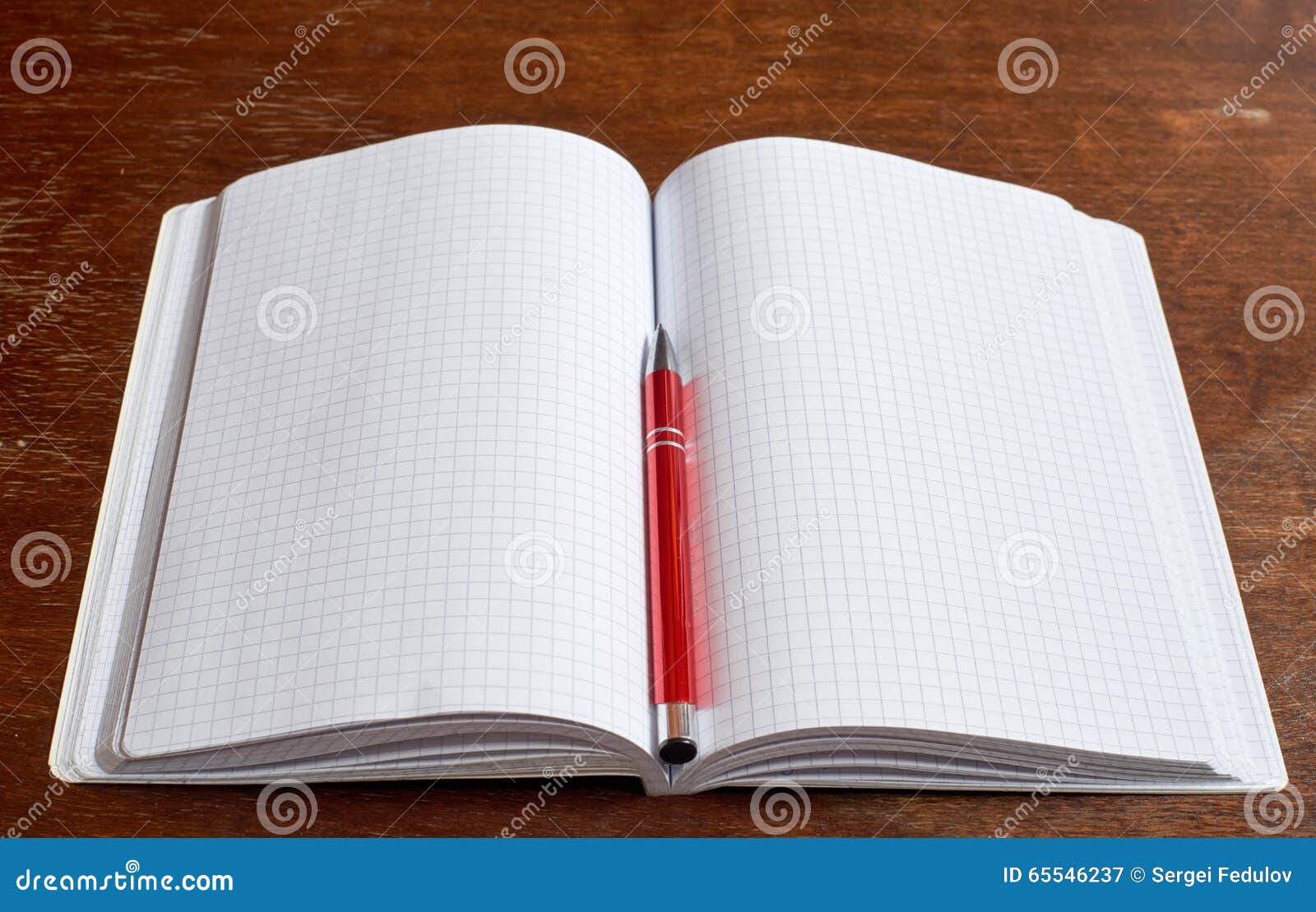 Quaderno e penna rossa immagine stock. Immagine di memorizzi - 65546237