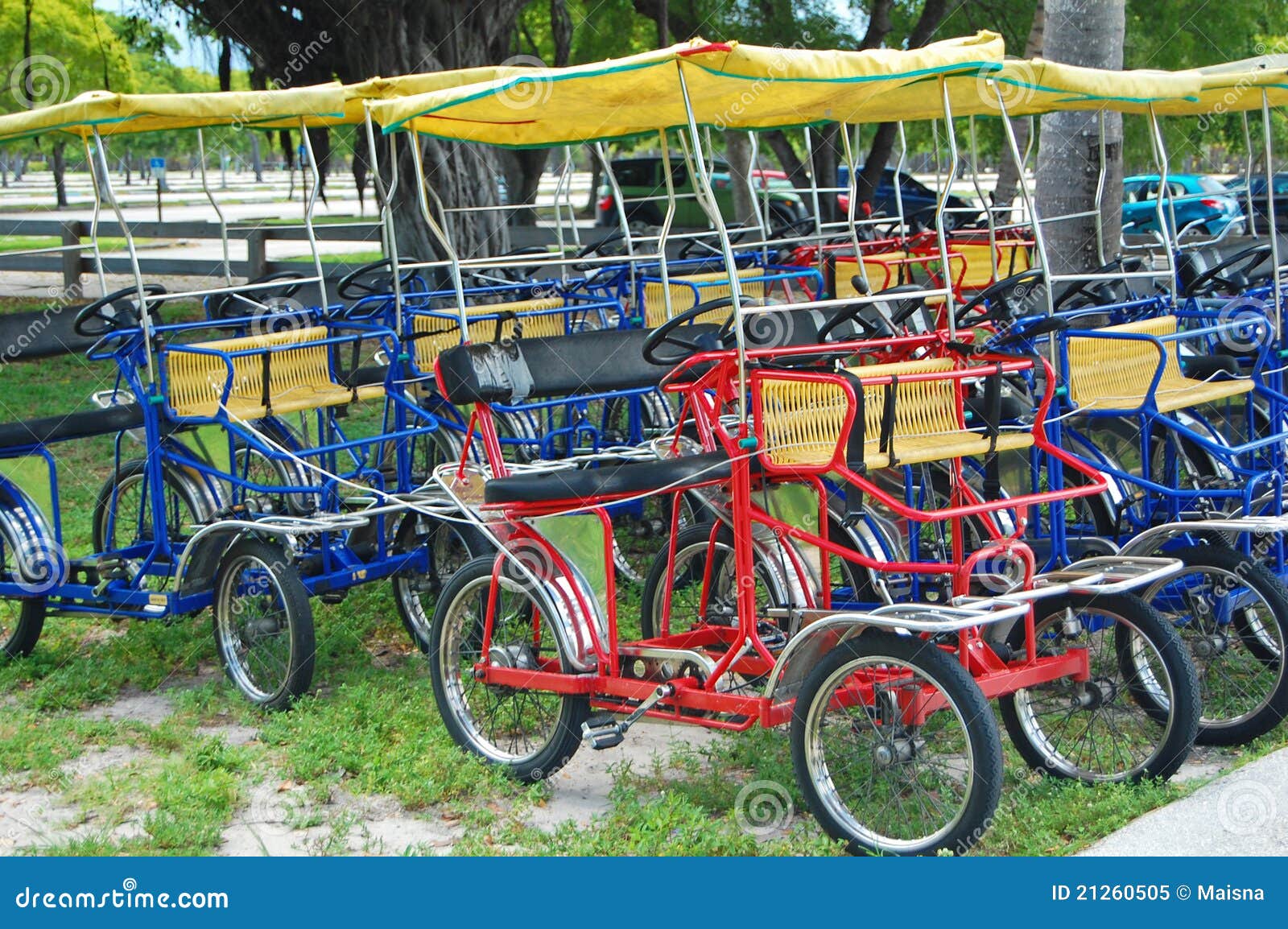 Asian Human Surrey Cart