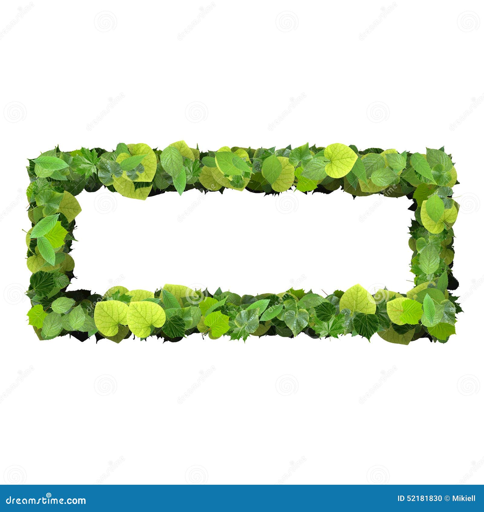 Quadrangle, Rectangle Made from Green Leaves Isolated on White ...