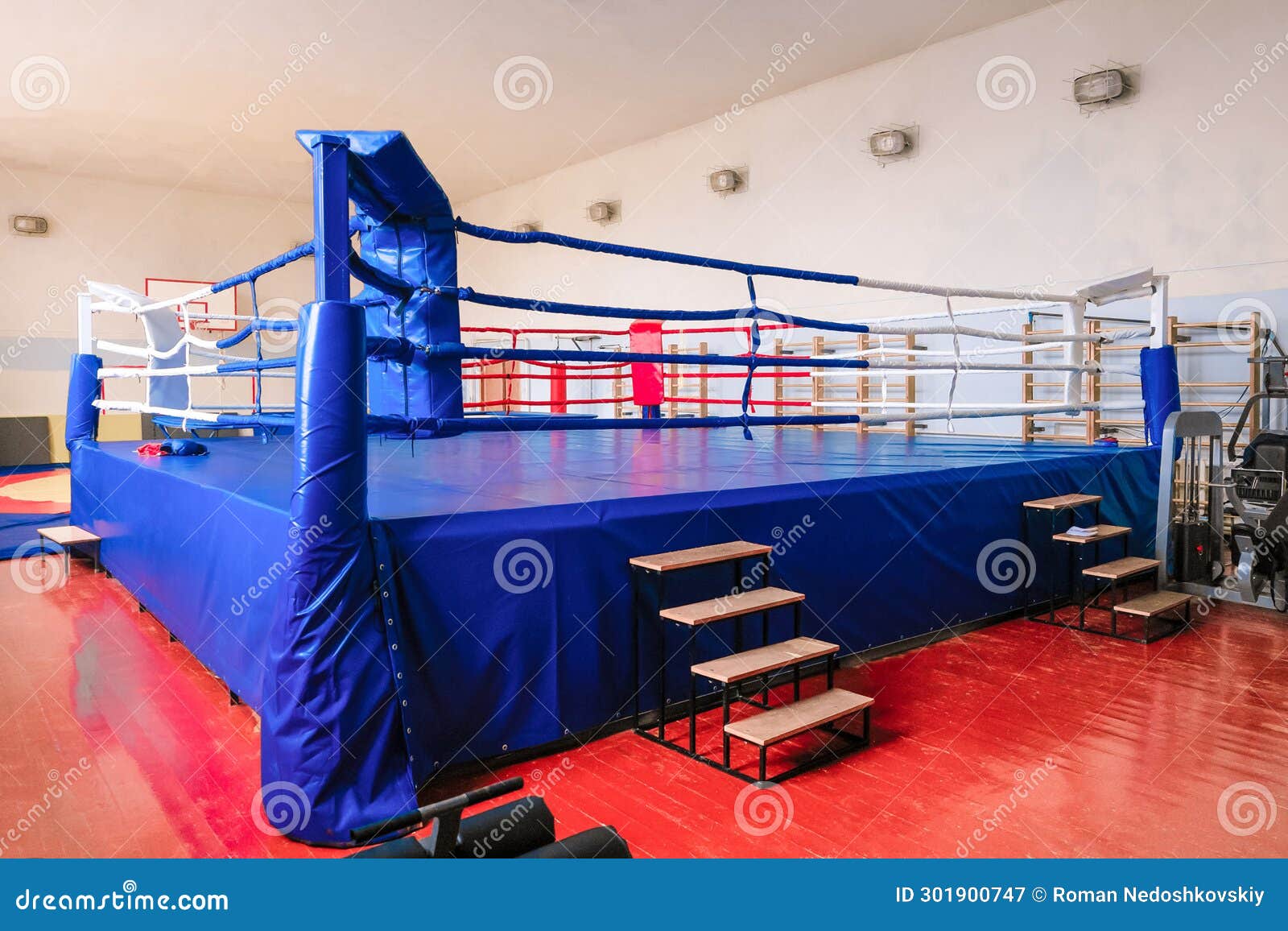 Quadrangular Boxing Ring on the Platform in the Gym Stock Image - Image ...