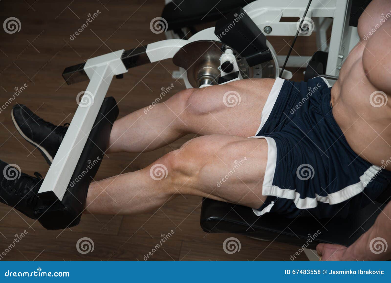 Quadriceps Exercises stock photo. Image of bodybuilding - 67483558