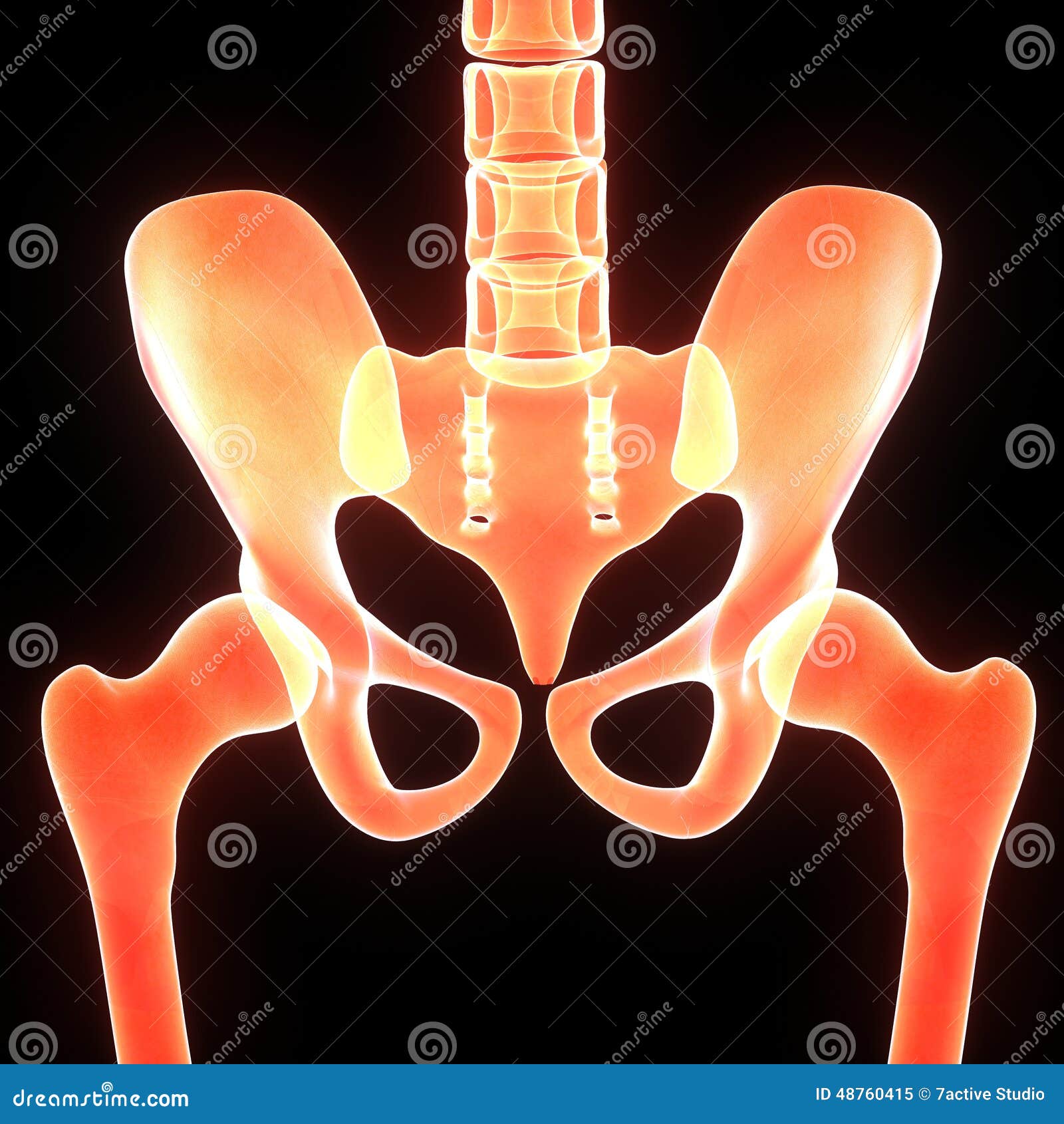 Quadril pélvico ilustração stock. Ilustração de hospital - 48760415