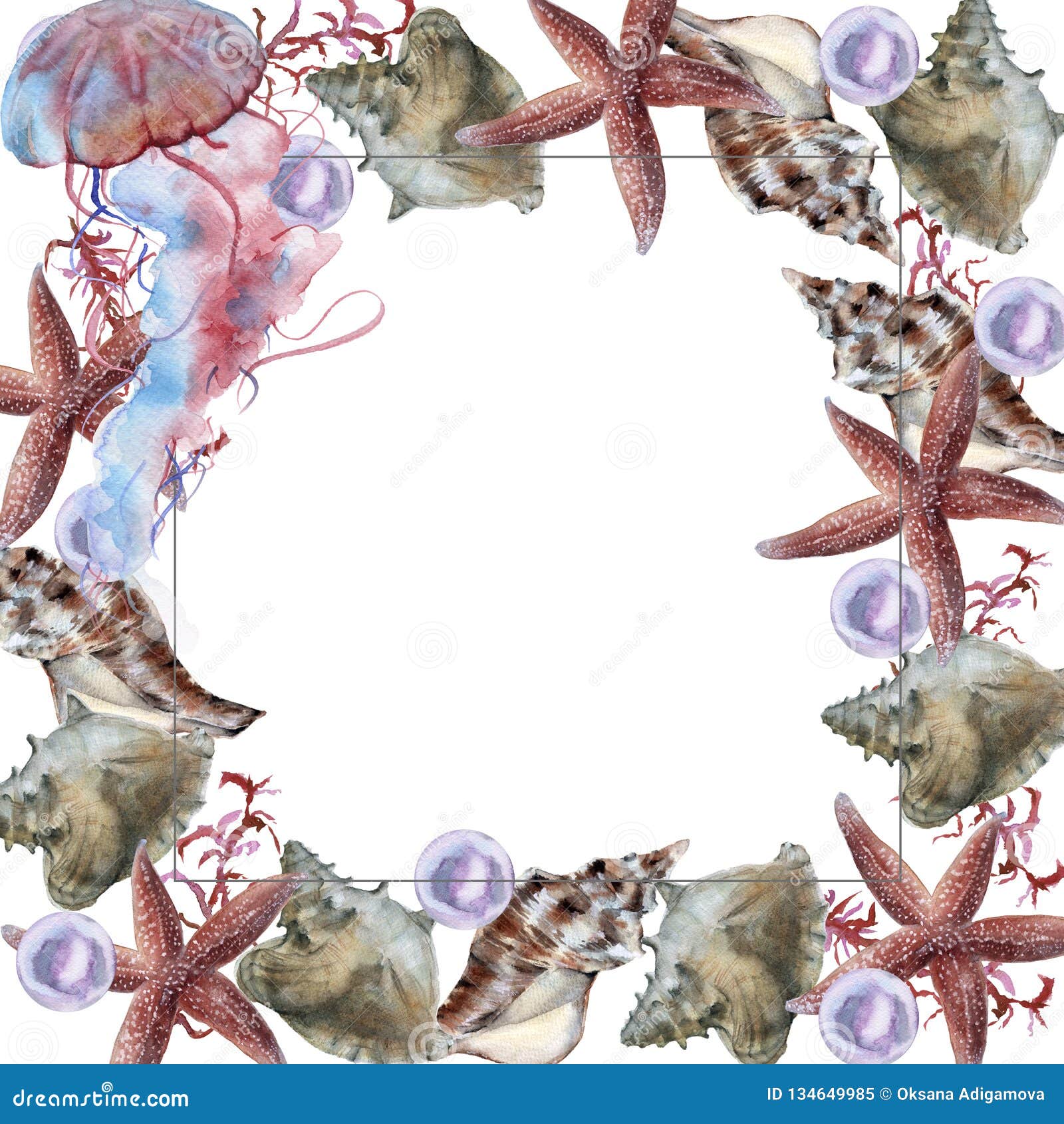 Quadro Com Elementos Do Mar Isolado No Fundo Branco Ilustração Stock ...