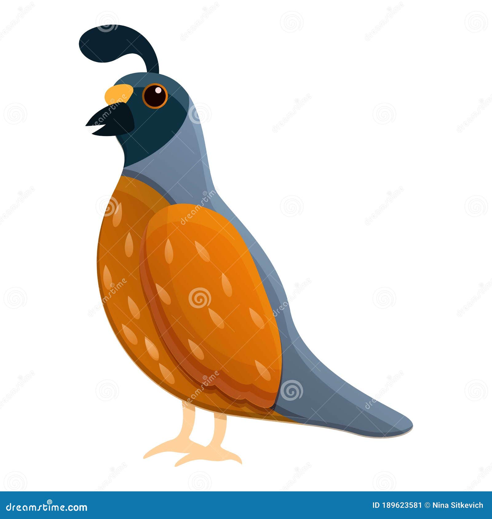 Quail Animal Icon, Cartoon Style Stock Vector - Illustration of feather ...