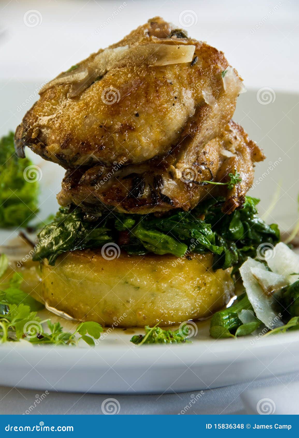 Quail appetizer stock photo. Image of quail, balsamic - 15836348