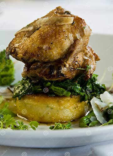 Quail appetizer stock photo. Image of quail, balsamic - 15836348