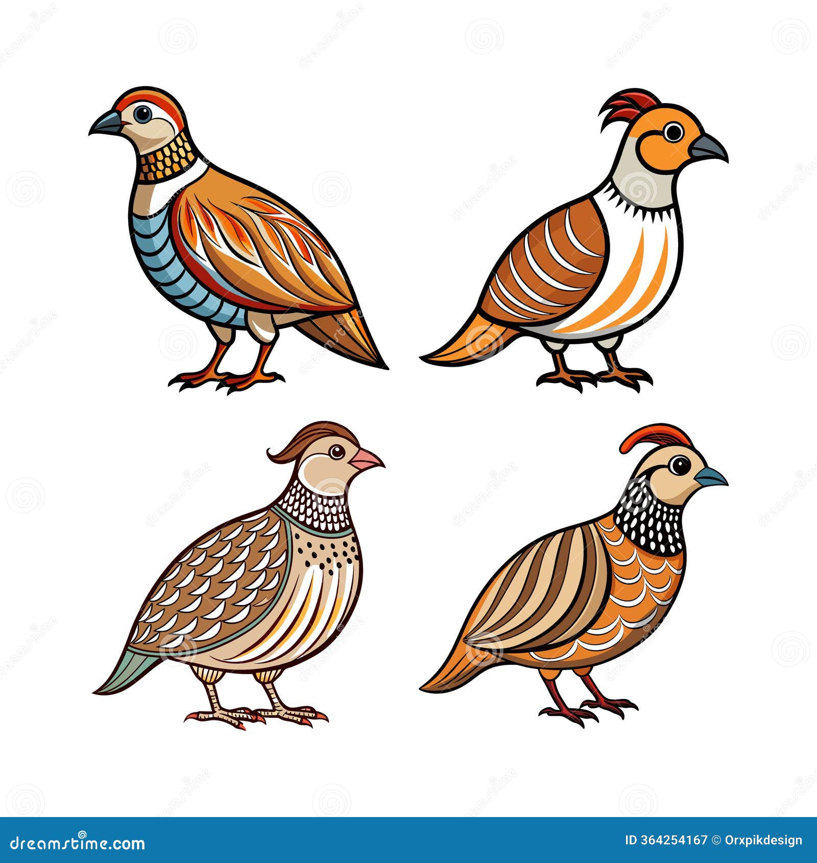 Quail Coloring Page For Kids Vector Illustration | CartoonDealer.com ...