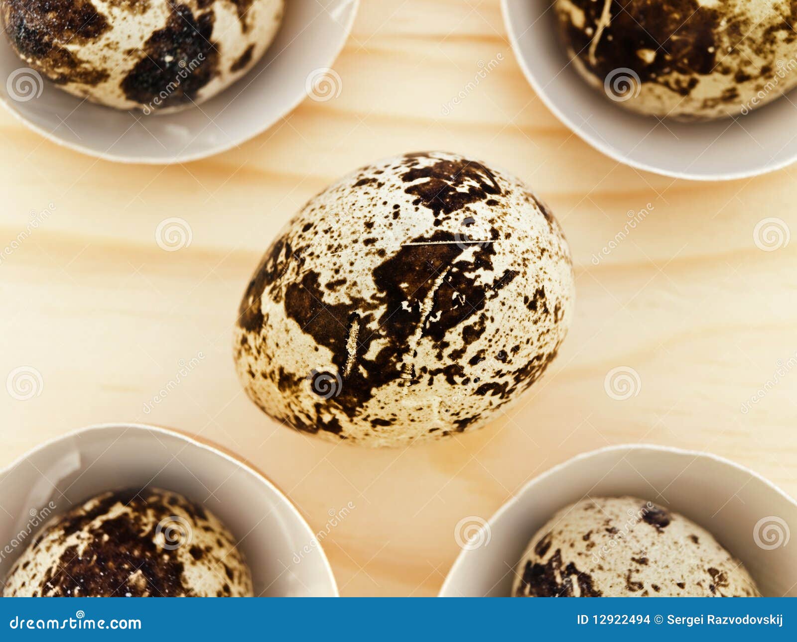 Quail egg stock photo. Image of nutritive, healthy, diet - 12922494