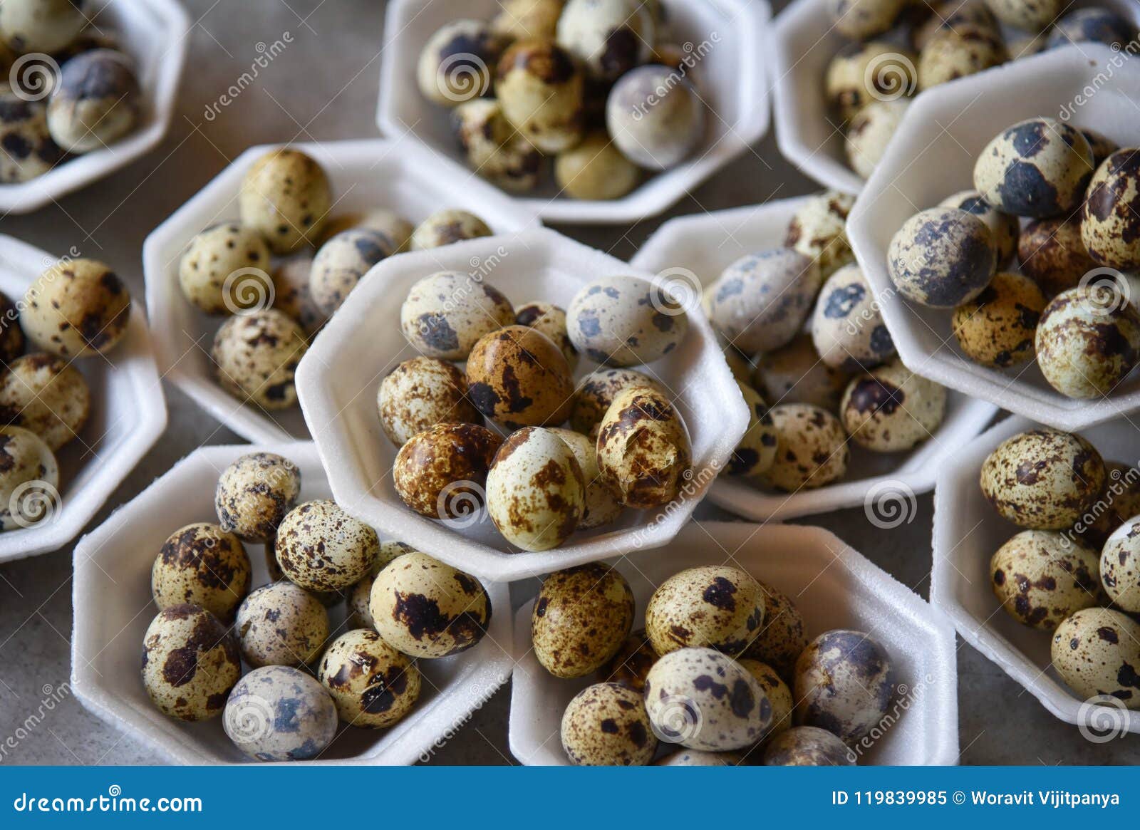 Quail egg stock image. Image of brown, albumen, foodstuff - 119839985