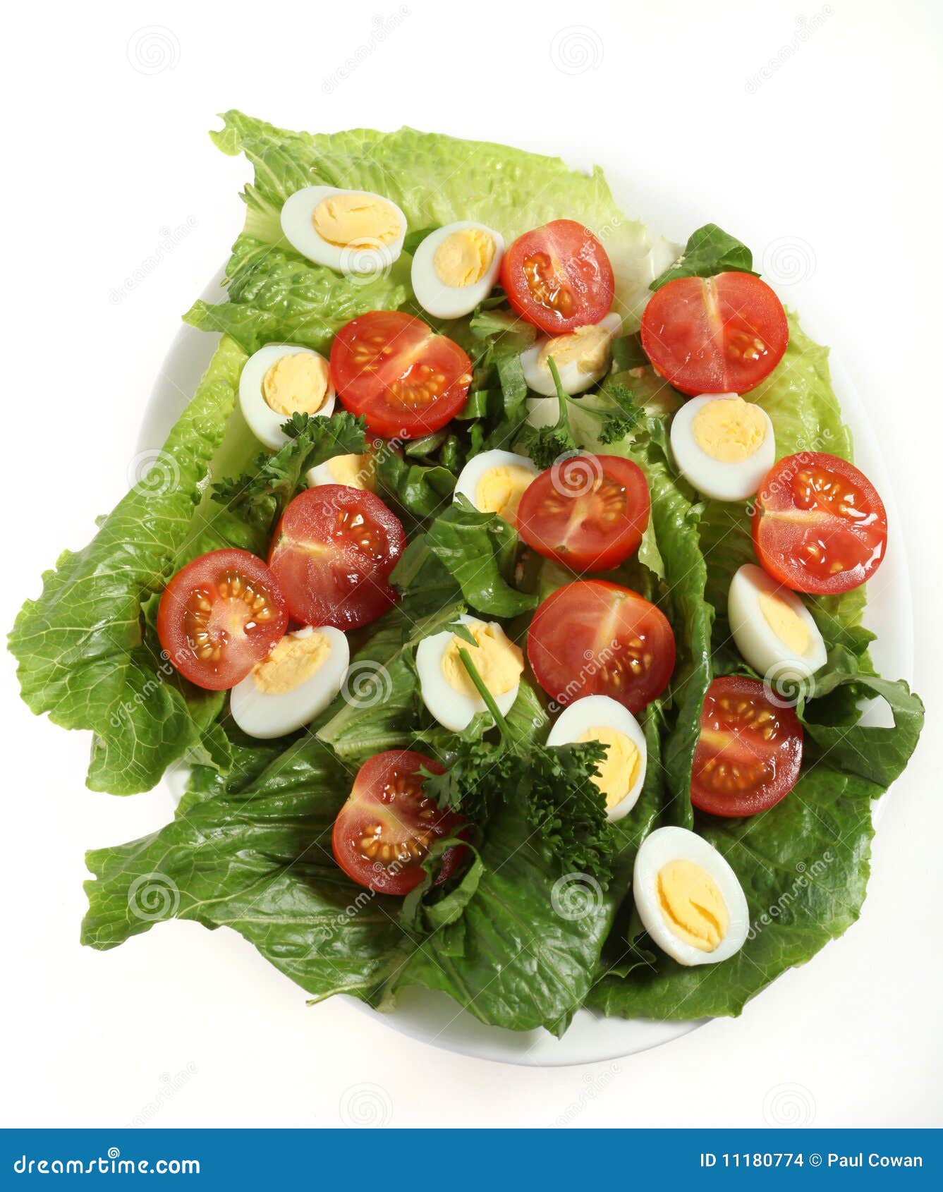 Quail egg salad stock photo. Image of diet, tomato, healthy - 11180774
