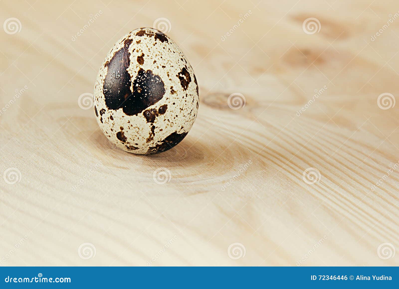 The Quail Egg on a Wooden Board. the Rustic Still Life Stock Photo ...