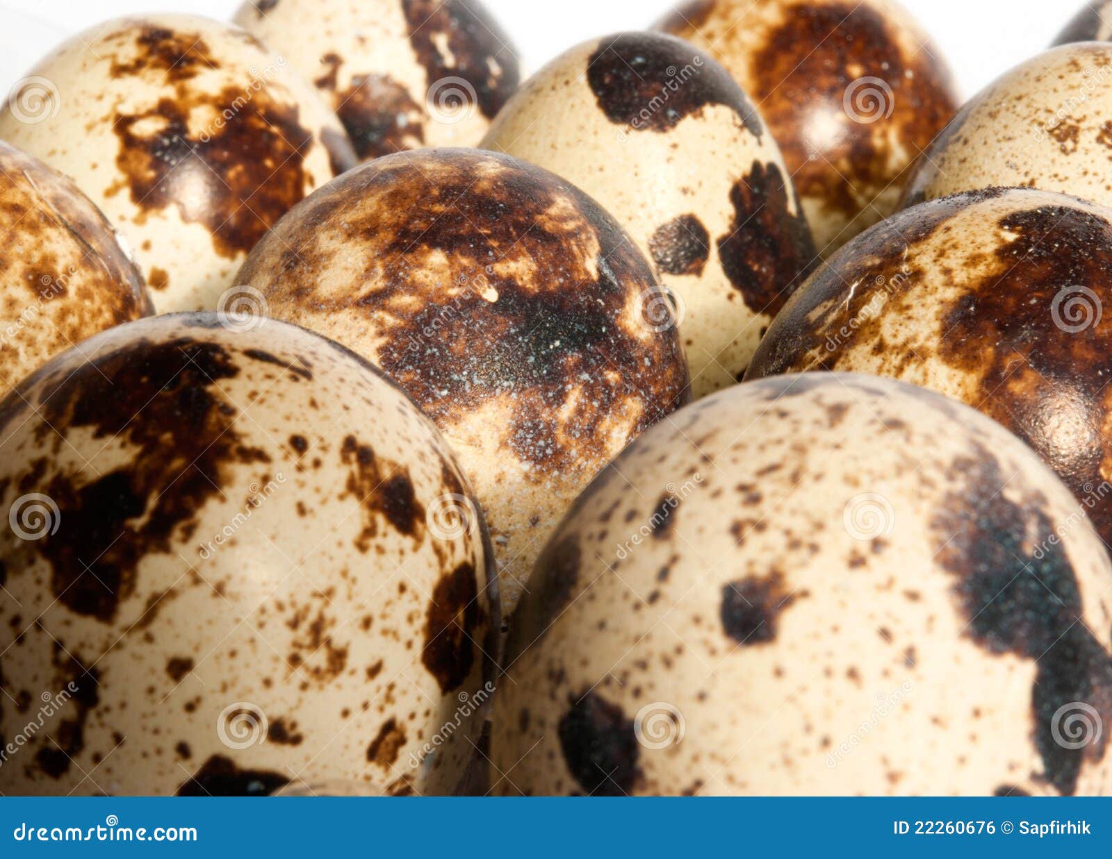 Quail eggs. stock photo. Image of diet, quail, macro - 22260676