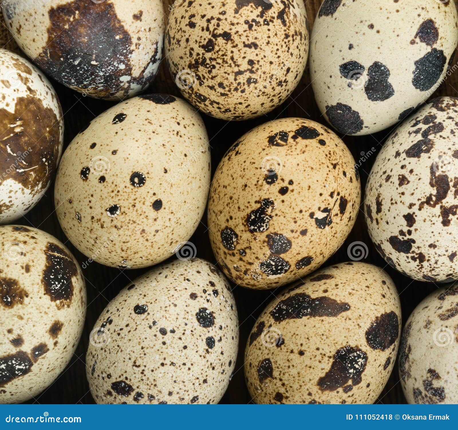 Quail Eggs Background stock photo. Image of dieting - 111052418